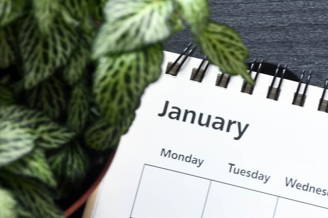 Navigating Sobriety: Understanding Dry January and Its Impact on ...