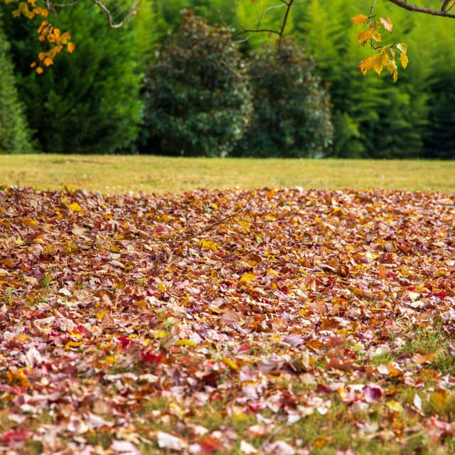 Areas We Serve | Discover Top-Notch Drug Rehab Services at Prevail ...